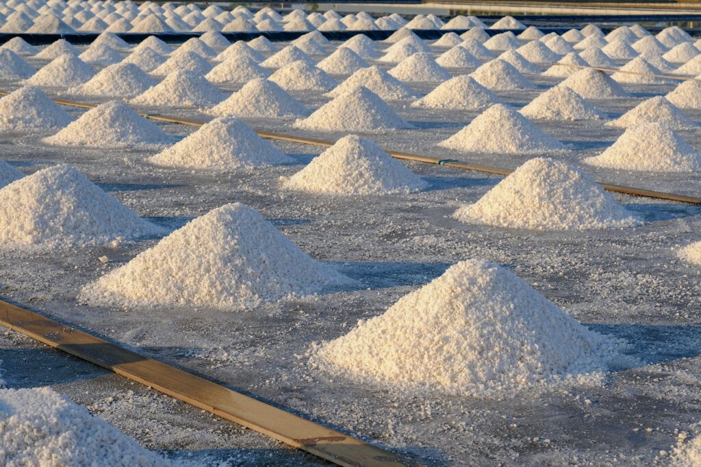 4 Ways Indian Resist Salt Manufacturers are Leading the Way - Fineotex